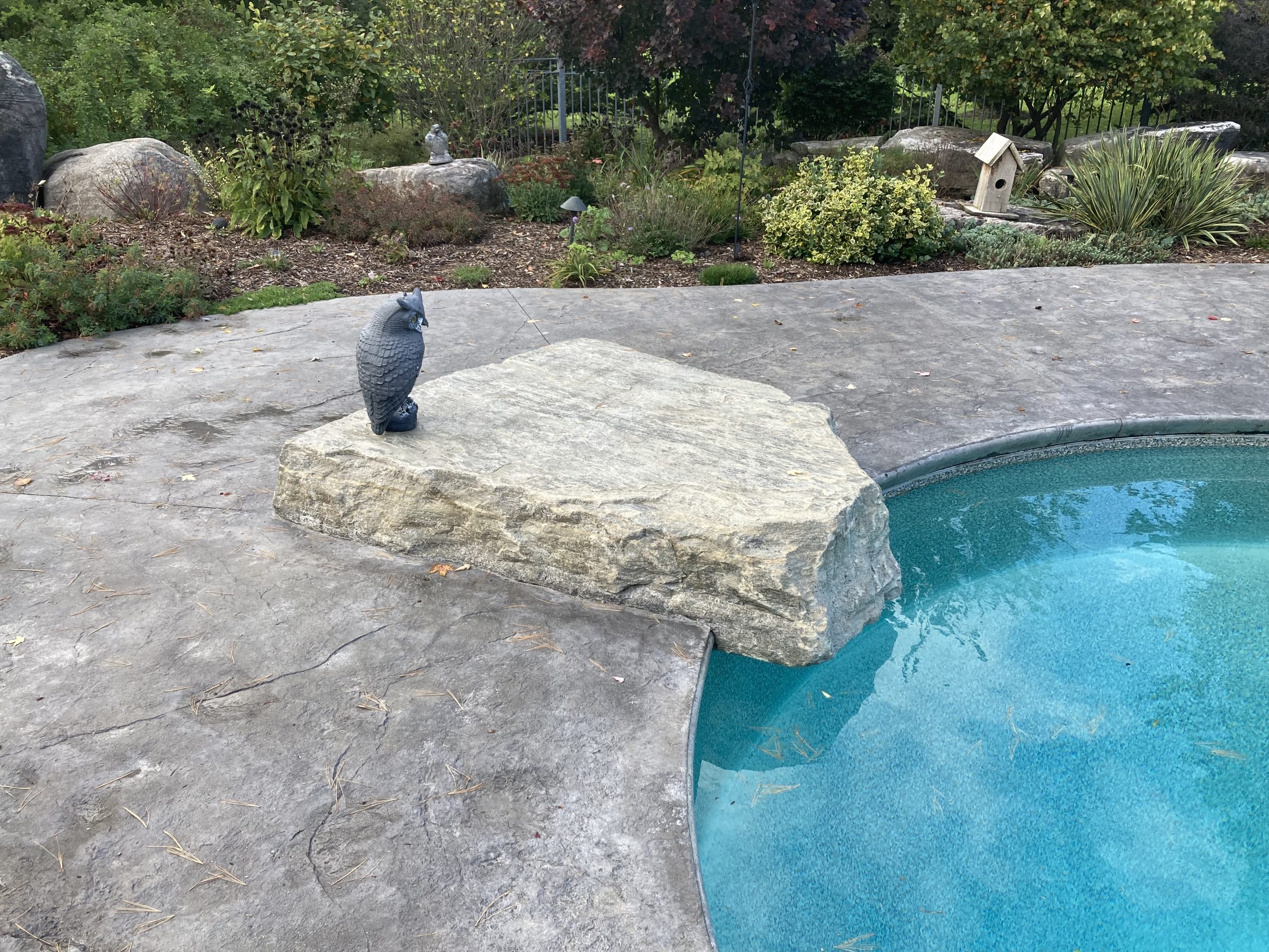 Elite Blue Granite Diving Board, Patio Inserts, and Steps - Colonial ...